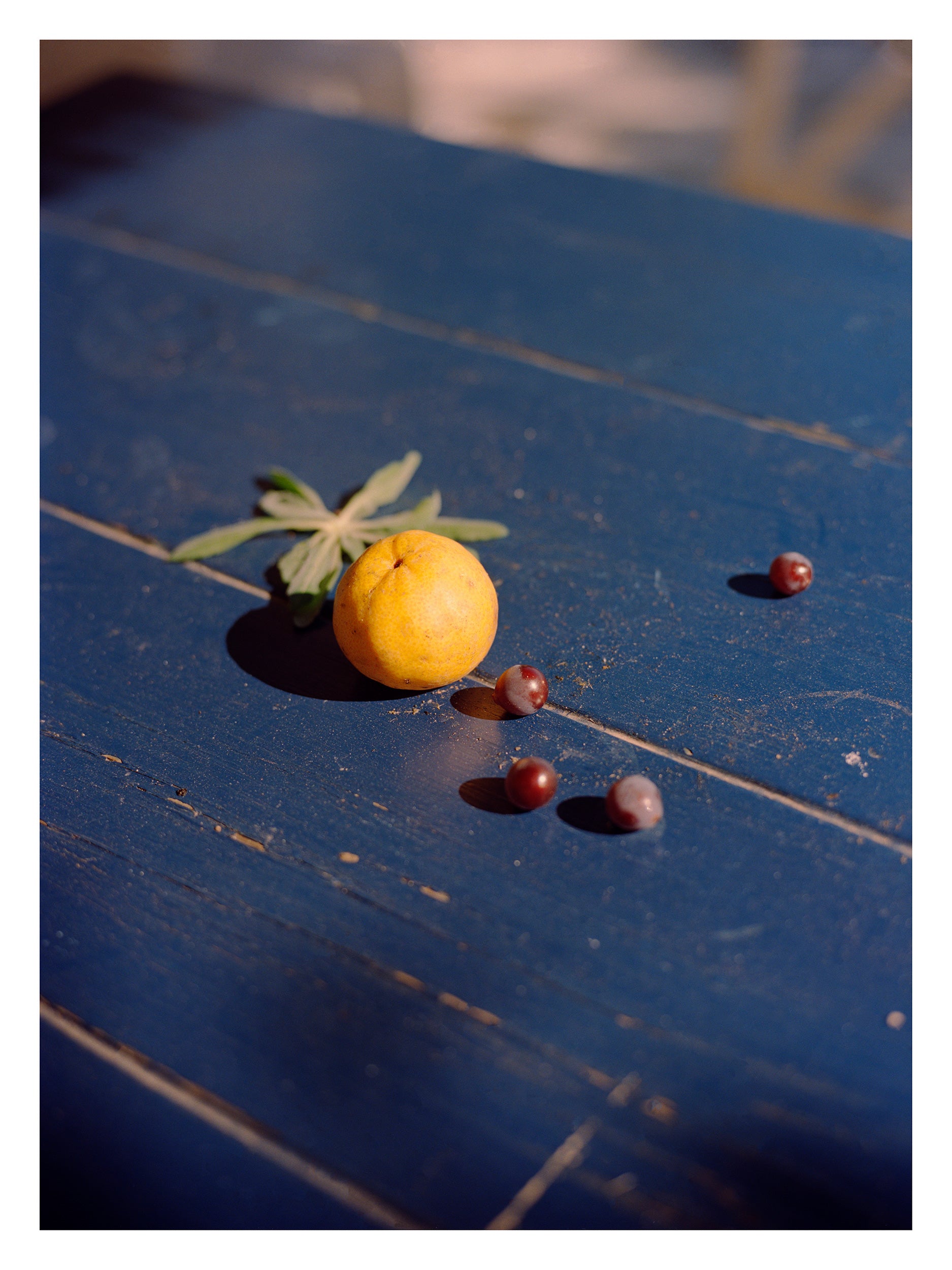 Fruit – Visiting Artists
